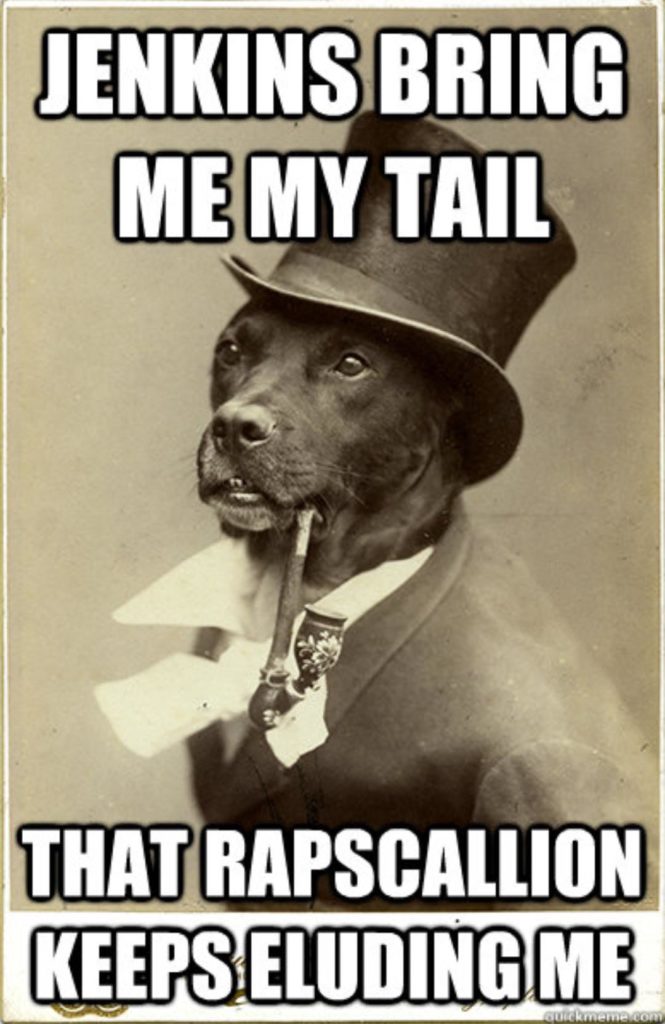 A Collection Of Old Money Dog MEMES