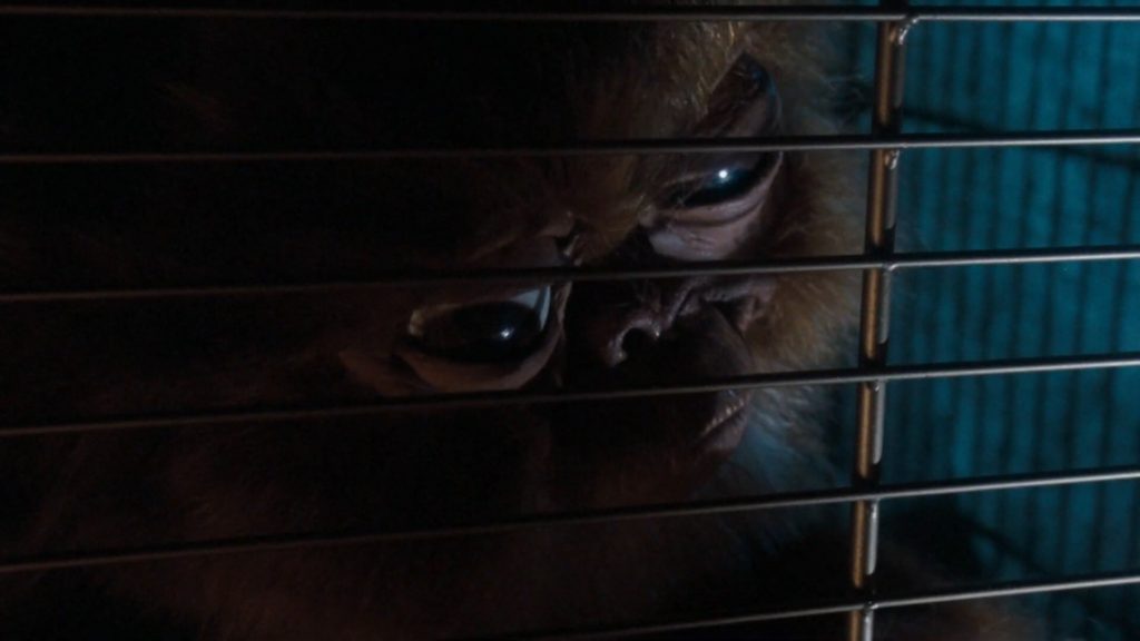 "GREMLINS" Trailer: Official 4K Movie Version Will Be Released In ...